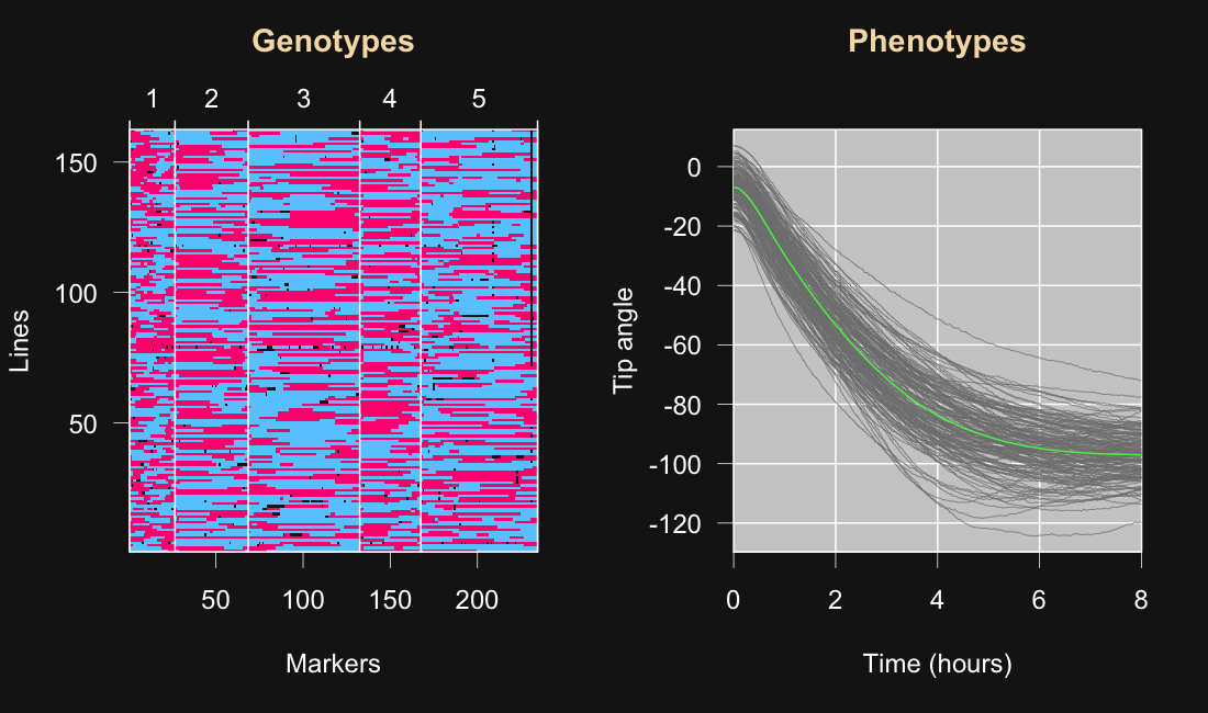 QTL mapping for phenotypes measured over time