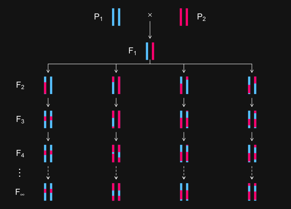 QTL mapping for phenotypes measured over time