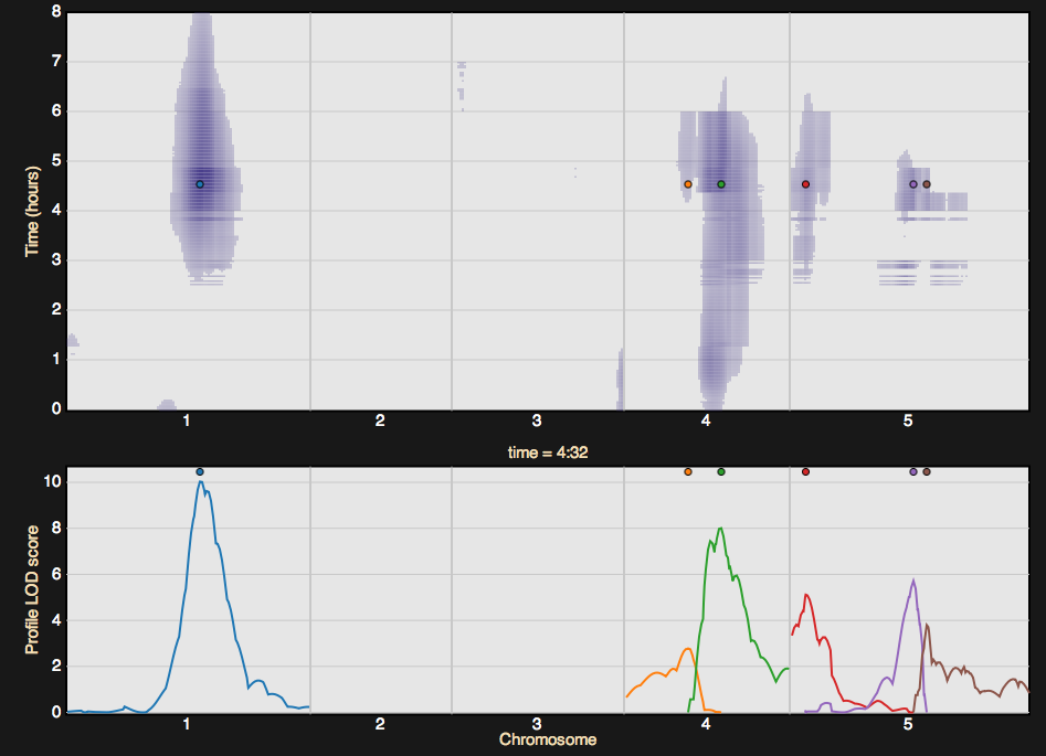 QTL mapping for phenotypes measured over time